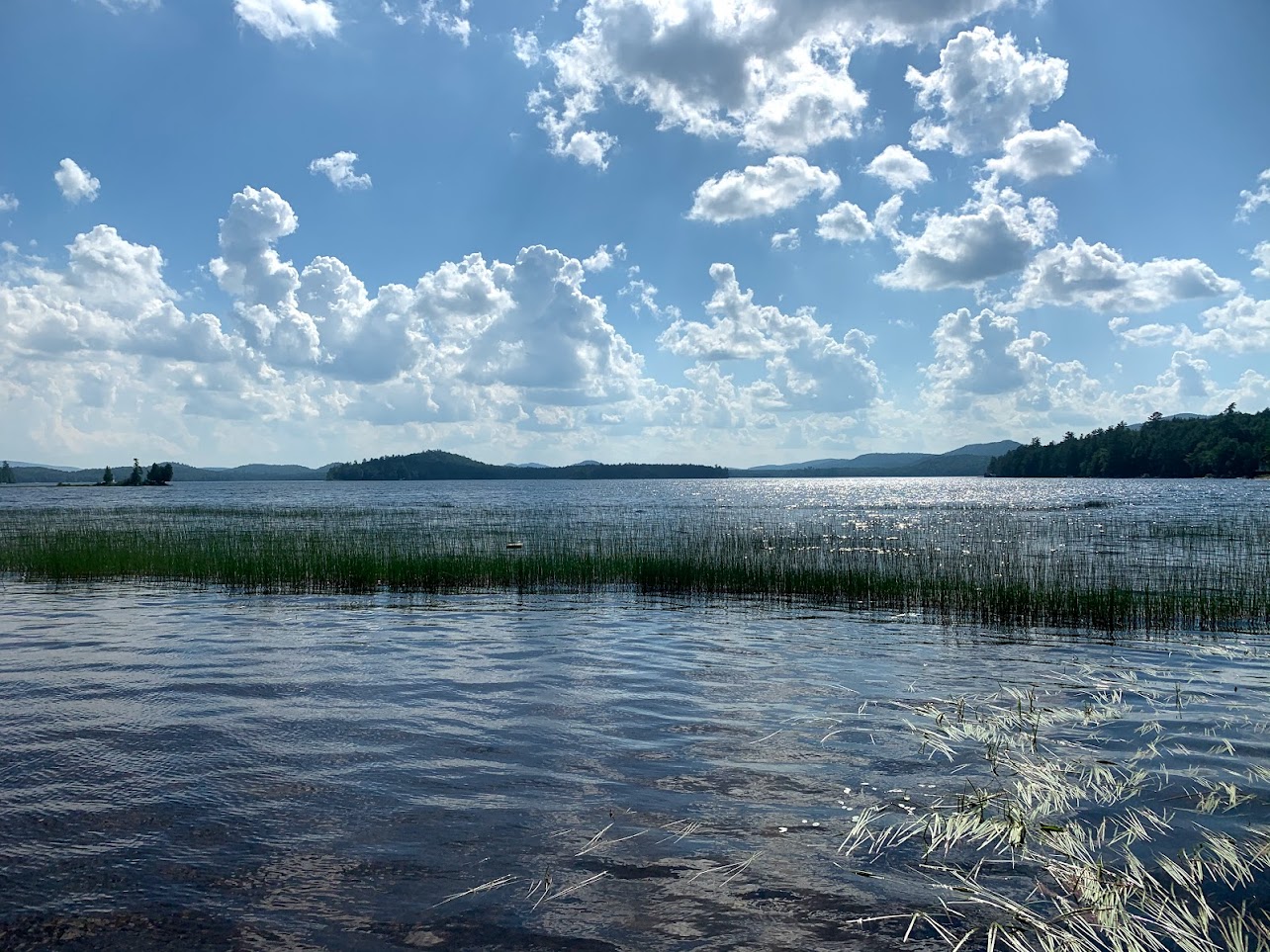What is Lake Management, and How Can It Benefit Your Community? - GEI ...